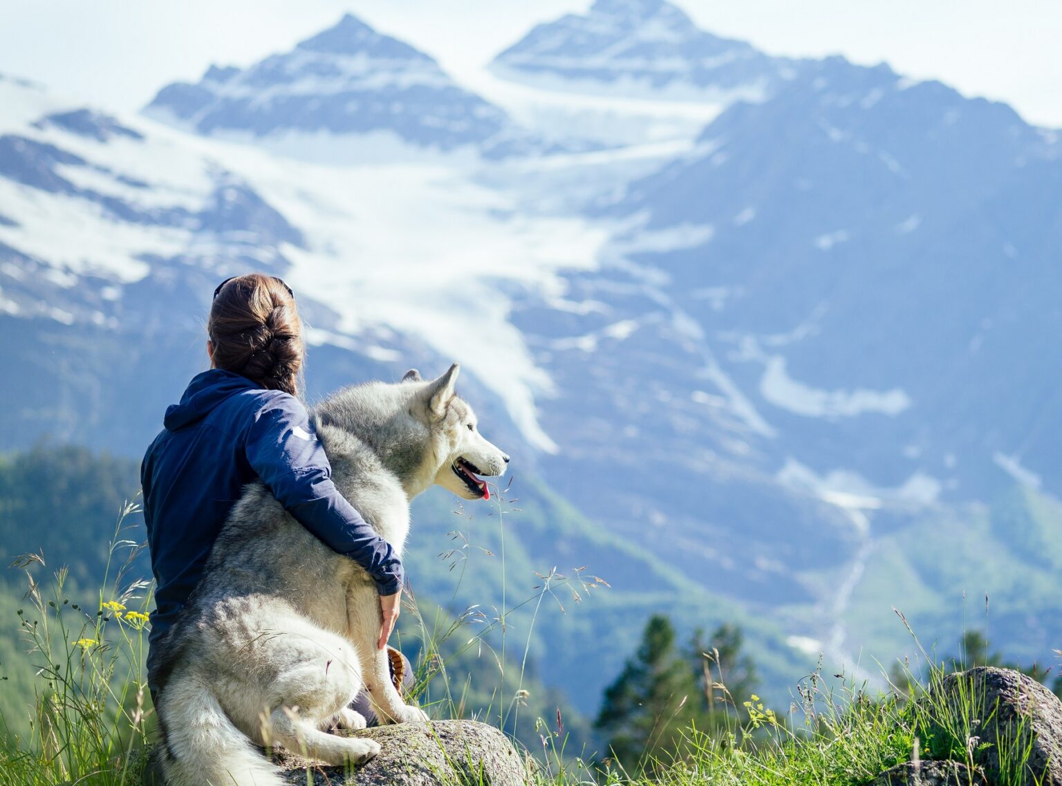 Veterinary Services - Inspire Animal Hospital - Highlands Ranch