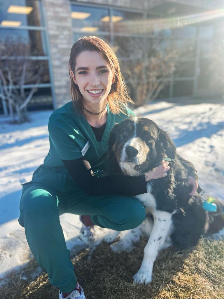 Our Team - Inspire Animal Hospital - Highlands Ranch